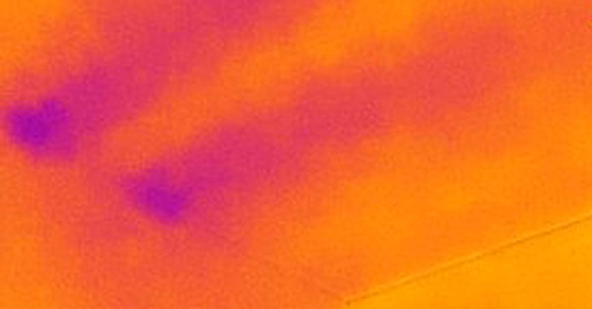 Thermal Imaging Your Condo - Criterium Engineers