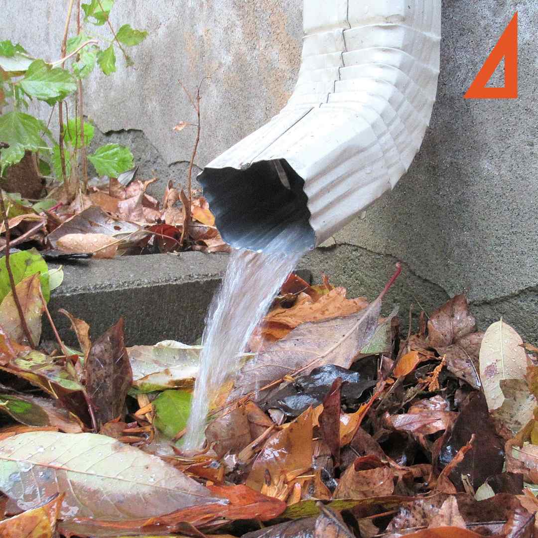 Moisture: The Root of all Maintenance - Criterium Engineers